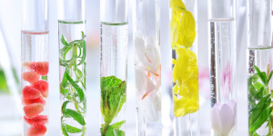 Smell test: how the sense of smell is measured | AbScent